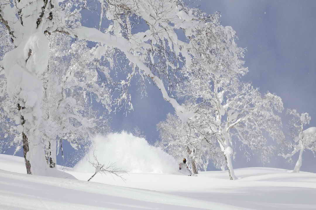 The Japanese Powder Dream - January 2025